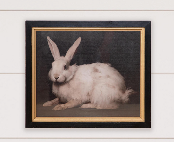 Framed Rabbit Print - Creating Country Decor